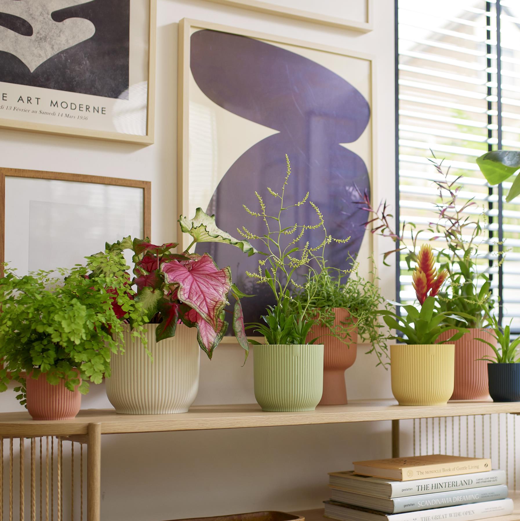 Ontdek het merk Elho. Geef je huis wat fonQ.