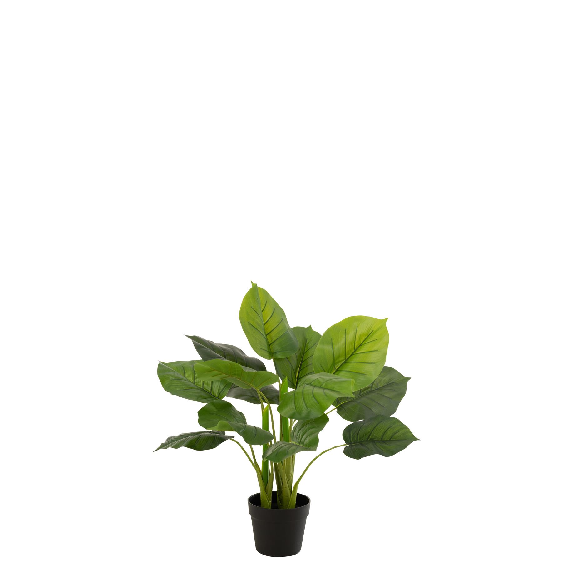 J-Line Pothos Plant In Pot Plastiek Groen kopen? Shop bij fonQ.be!