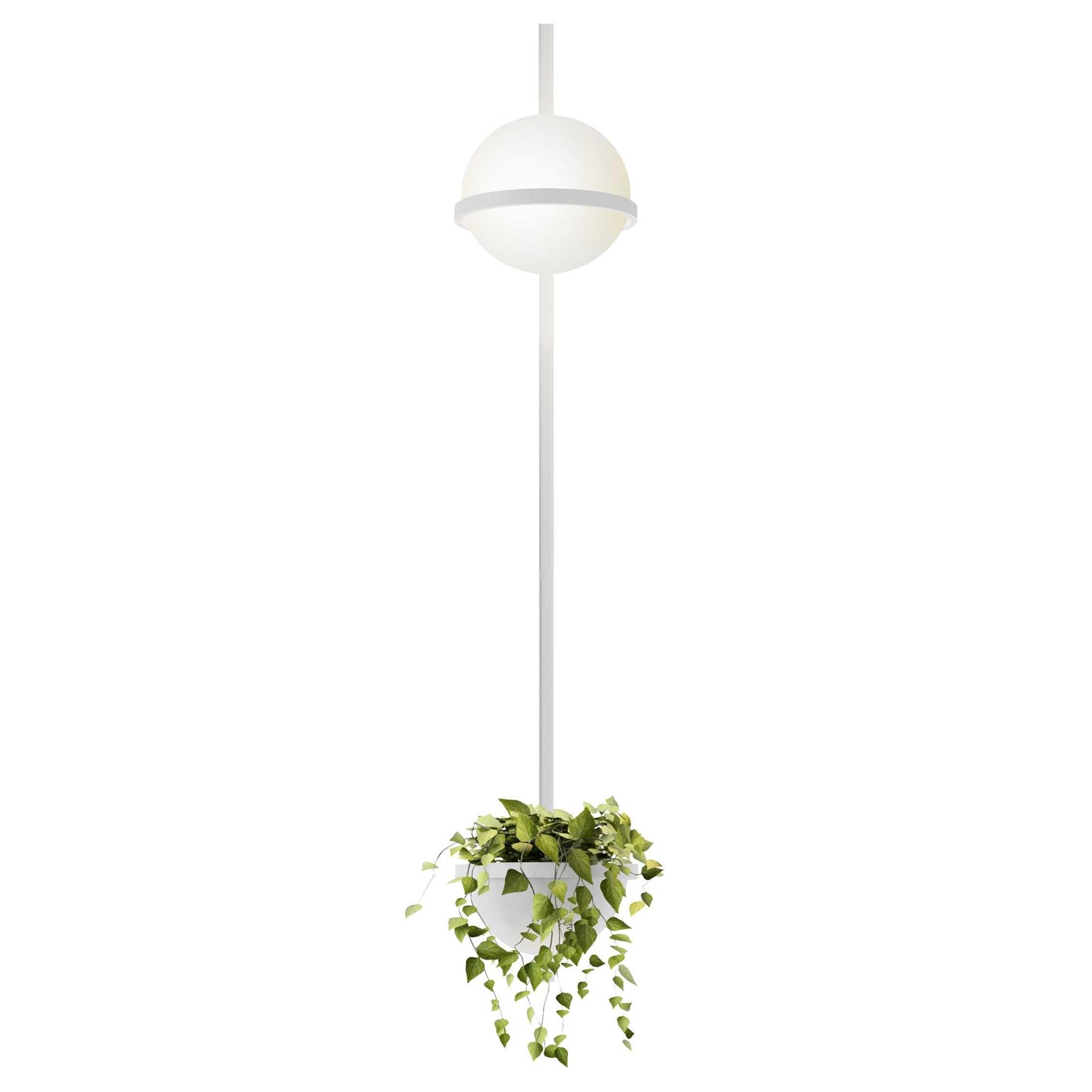 Vibia Palma 3714 wandlamp LED met plantenbak wit kopen? Shop bij fonQ!